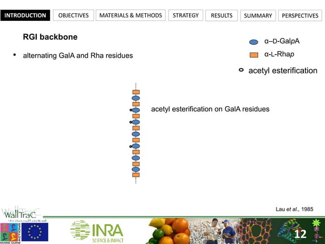 Dr. Merve Kaya- Structure of Citrus Pectine | PPT