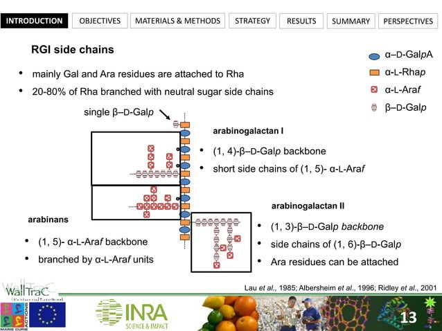 Dr. Merve Kaya- Structure of Citrus Pectine | PPT