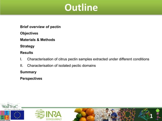 Dr. Merve Kaya- Structure of Citrus Pectine | PPT