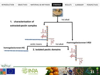 Dr. Merve Kaya- Structure of Citrus Pectine | PPTX