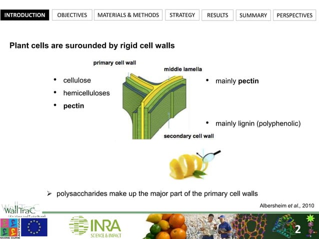 Dr. Merve Kaya- Structure of Citrus Pectine | PPT