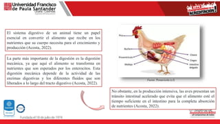 PH DEL TUBO DIGESTIVO DE LAS AVES.pptx