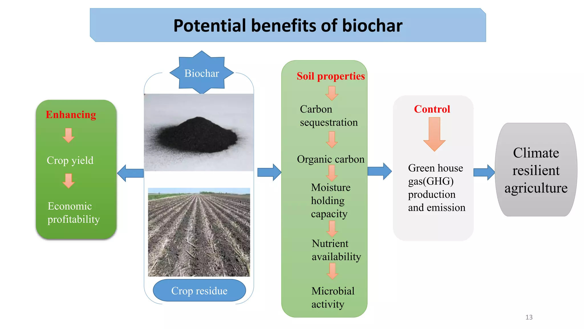 Effect of Biochar on Crop Productivity and Soil Health | PPT
