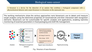Nanosensor and its application in food Industry.pptx
