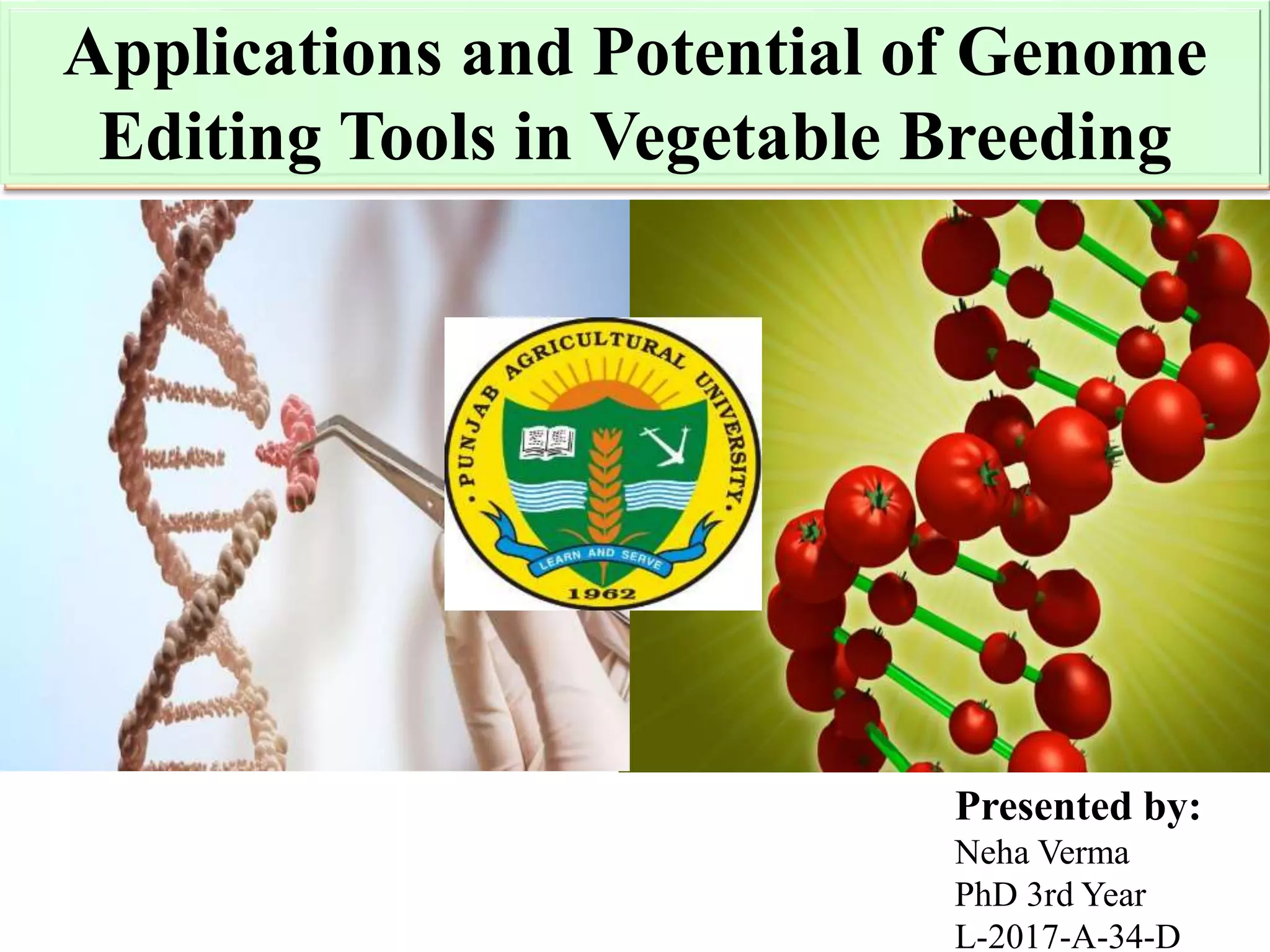 Applications and potential of genome editing tools in vegetable ...