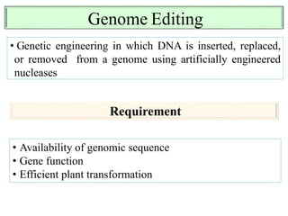 Applications and potential of genome editing tools in vegetable ...