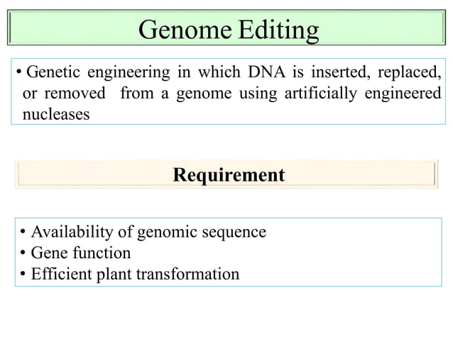Applications and potential of genome editing tools in vegetable ...