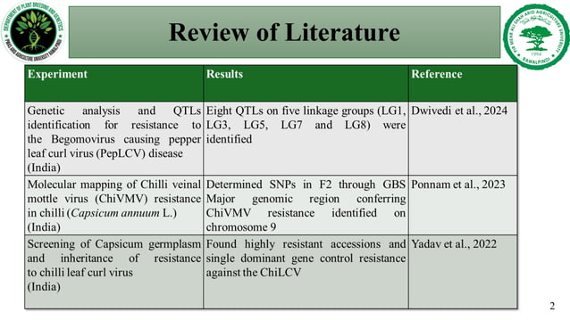 Phd Synopsis (1).ppt tentattive before preparation | PPT