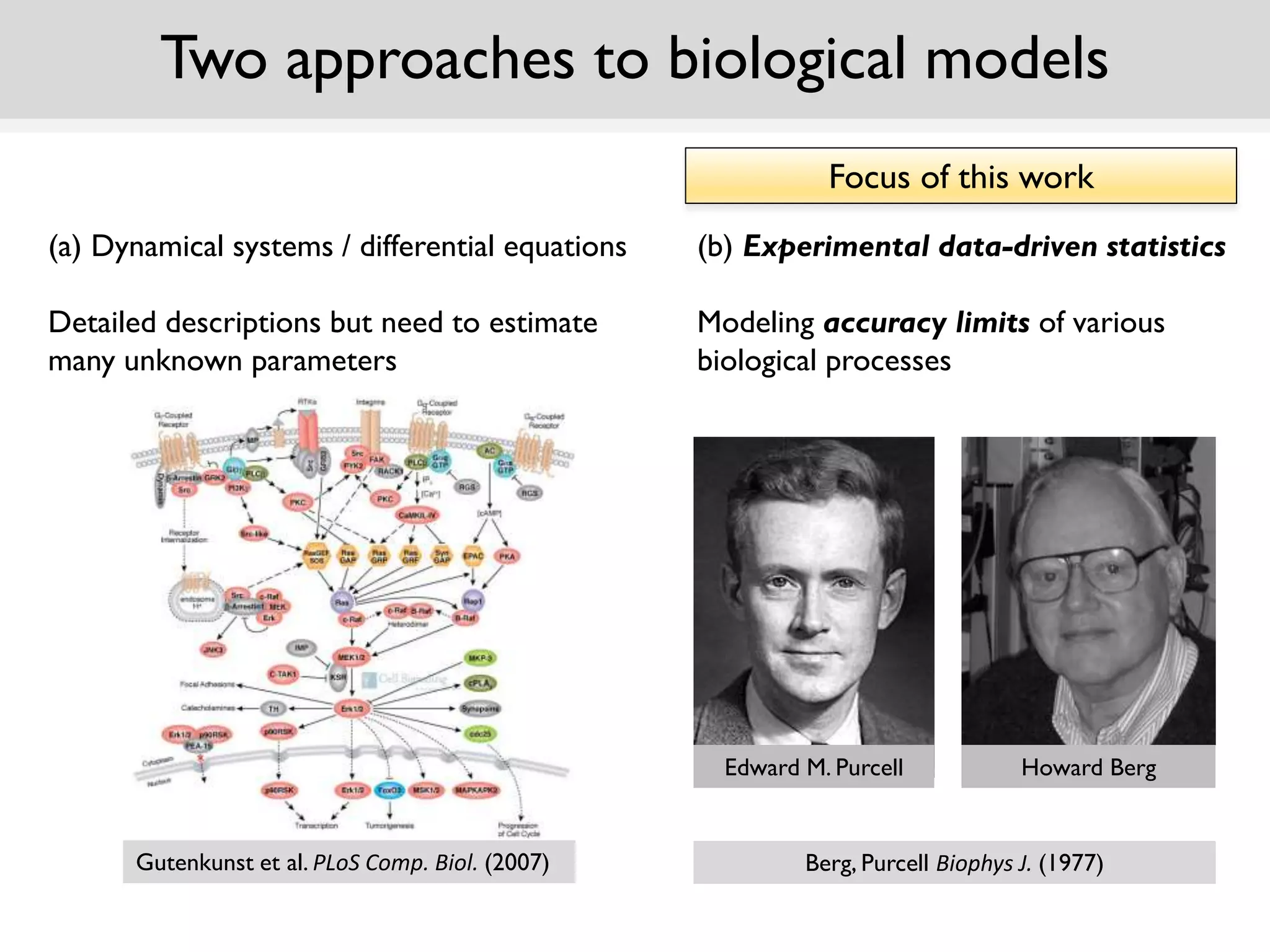 Igor Segota: PhD thesis presentation | PPTX