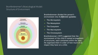 Pheey-Jhay-PPT-Reporter-no.-04.pptx | Biological Sciences | Science
