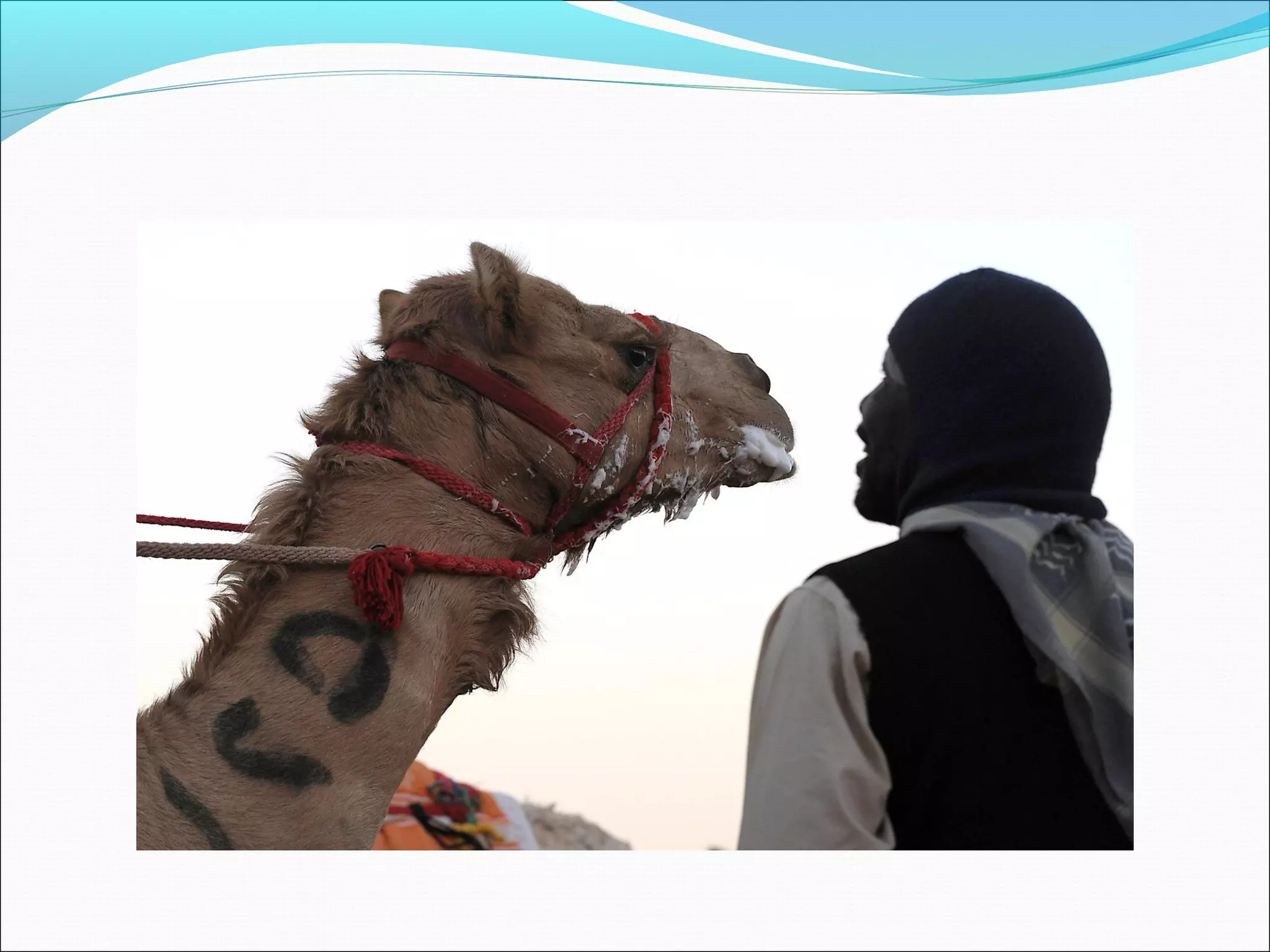 Public Helath Emergency Concern (PHEIC) | PPT