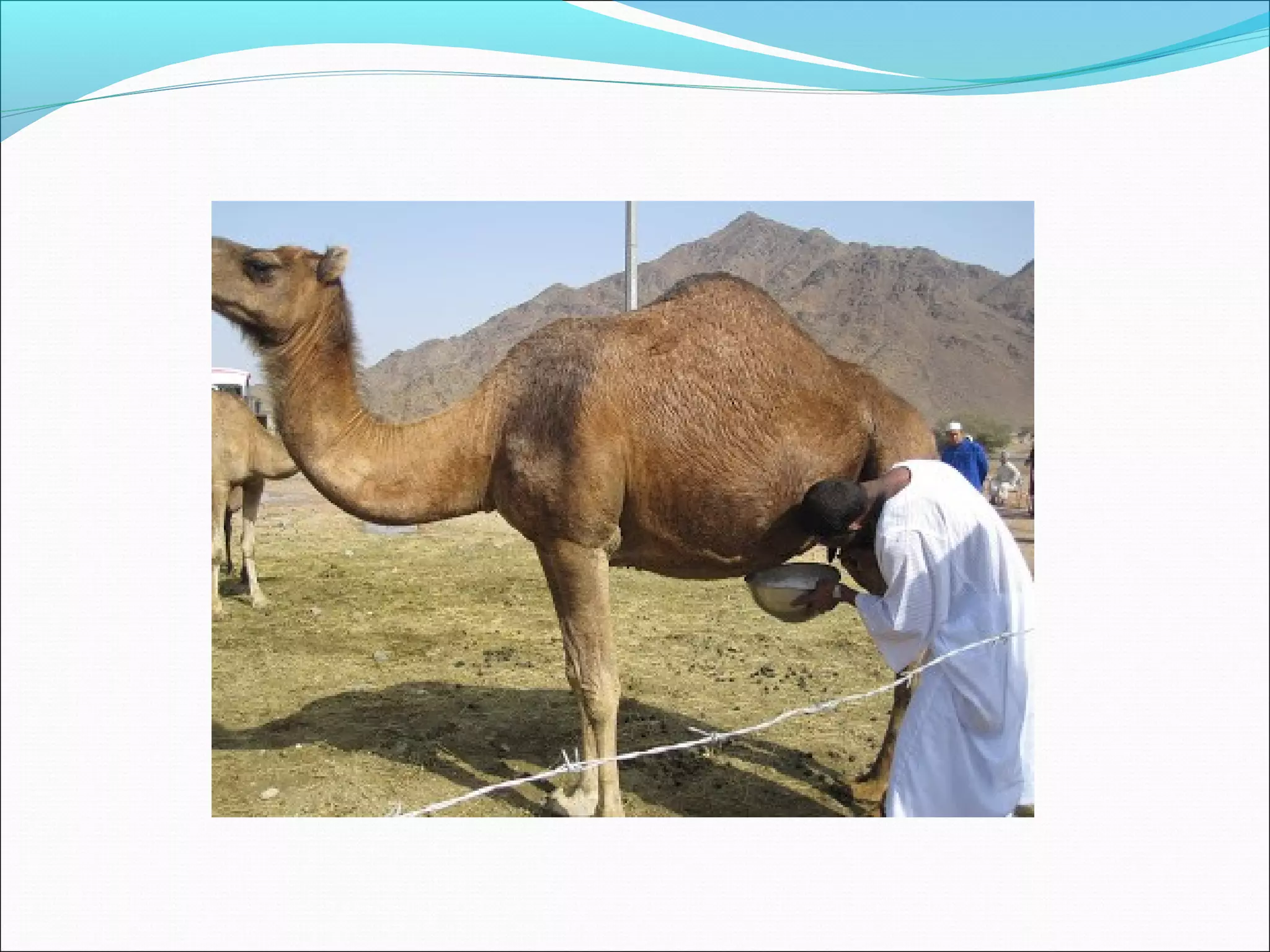 Public Helath Emergency Concern (PHEIC) | PPT