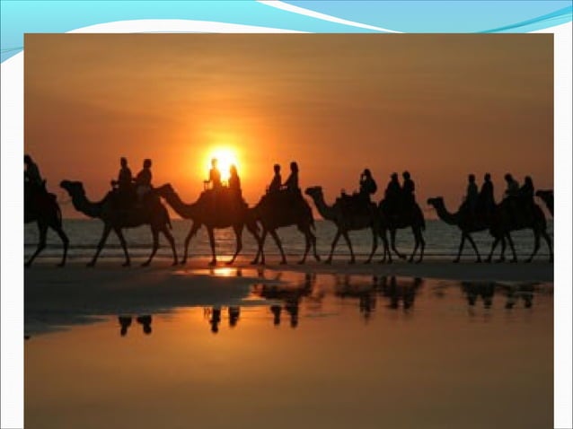 Public Helath Emergency Concern (PHEIC) | PPT