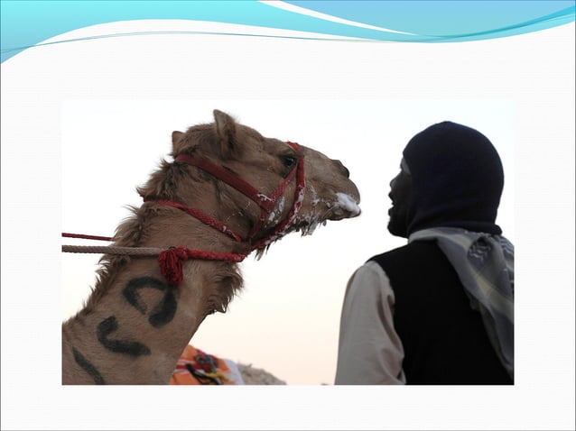 Public Helath Emergency Concern (PHEIC) | PPT