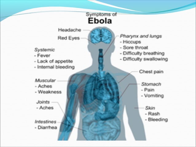 Public Helath Emergency Concern (PHEIC) | PPT