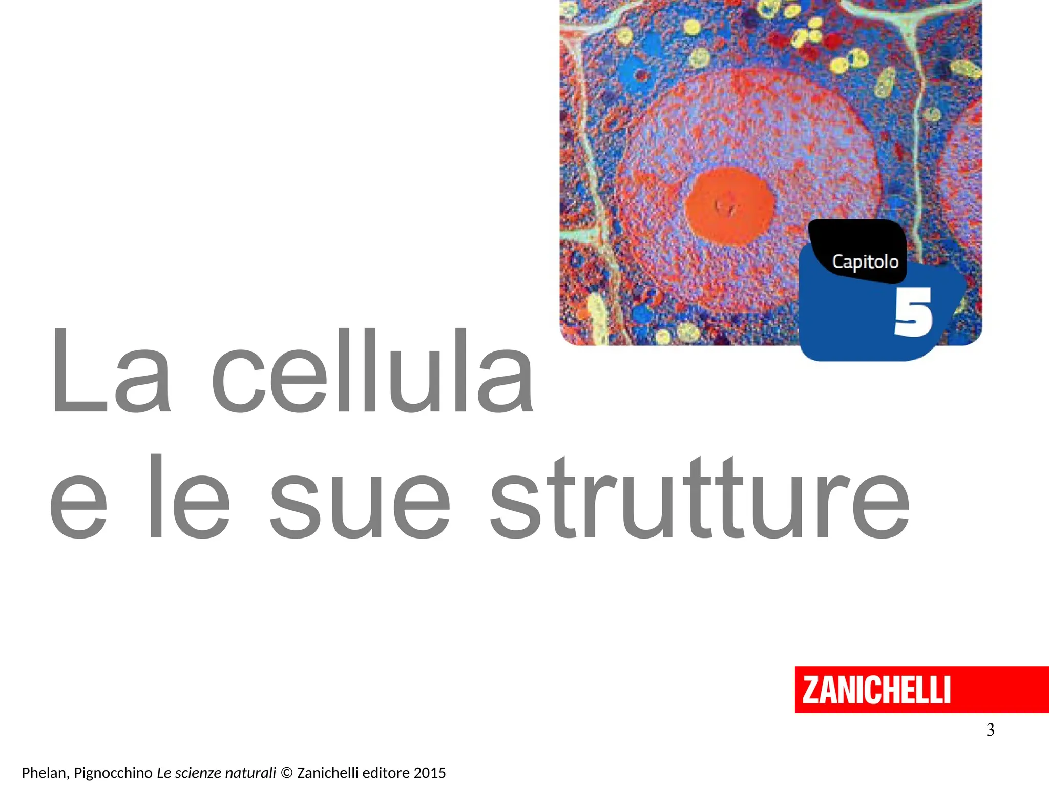 Phelan_osservare_viventi_capitooolo5.ppt