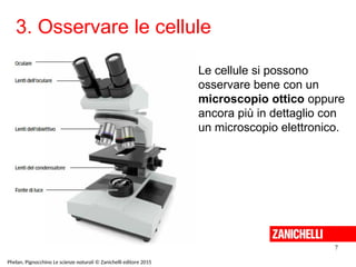 Phelan_osservare_viventi_capitooolo5.ppt