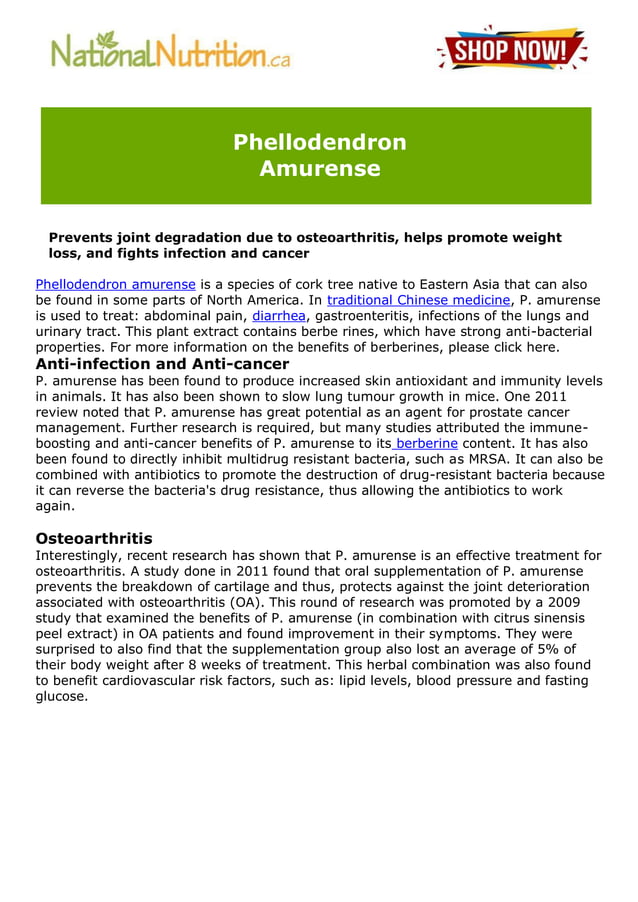 Phellodendron Amurense.pdf