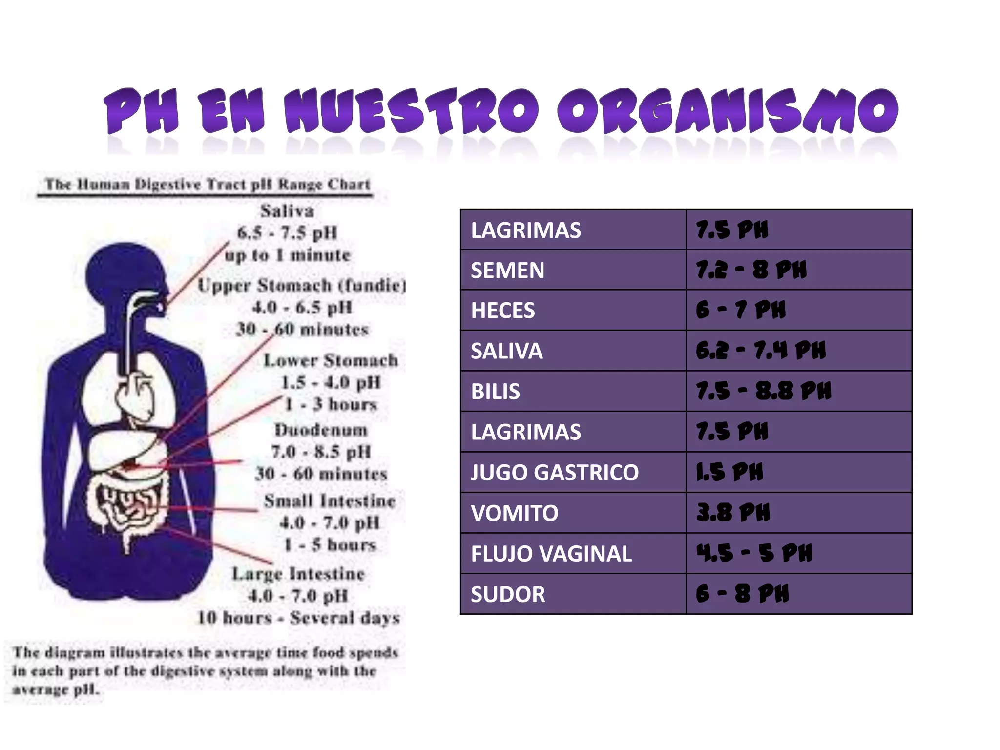 pH EN EL CUERPO HUMANO | PPTX