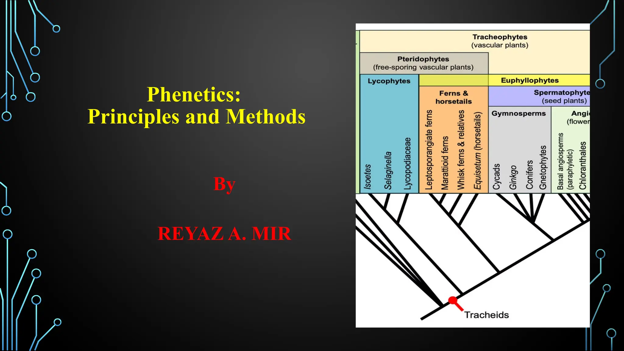 Phenetics-Principles-and-Methods in detial.pptx