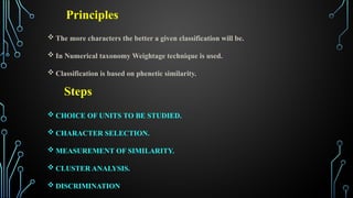 Phenetics-Principles-and-Methods in detial.pptx