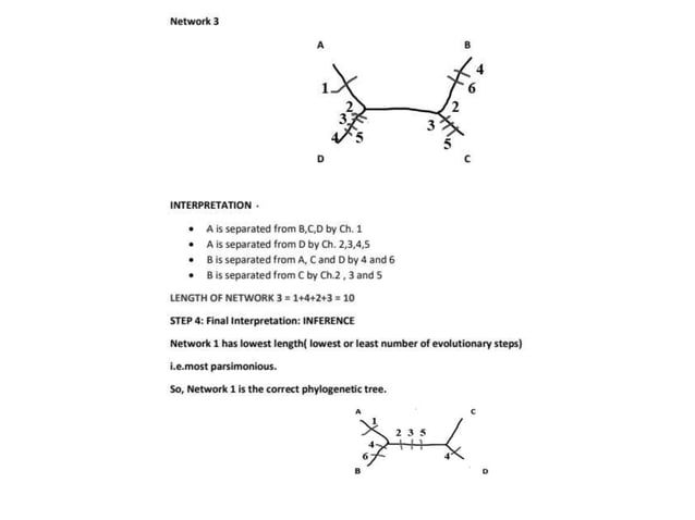 Phenetics explanation with examples B.Sc level | PPT