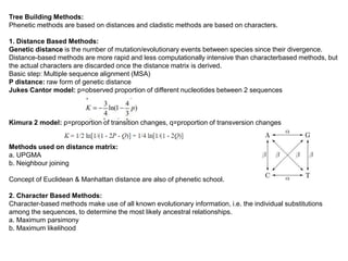 Phenetics explanation with examples B.Sc level | PPT