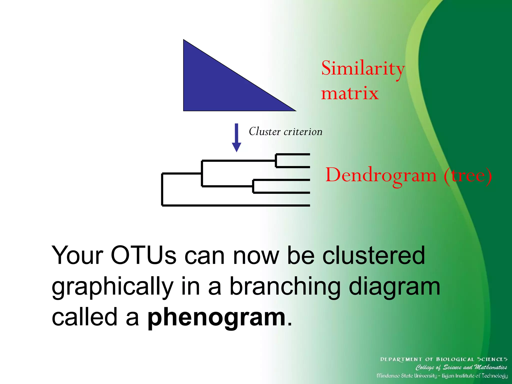 Systematics Lecture: Phenetics | PDF