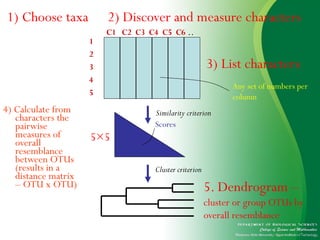 Systematics Lecture: Phenetics | PDF