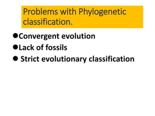 Phenetic versus phylogenetic systems | PPTX