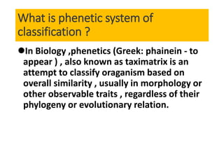 Phenetic versus phylogenetic systems | PPTX