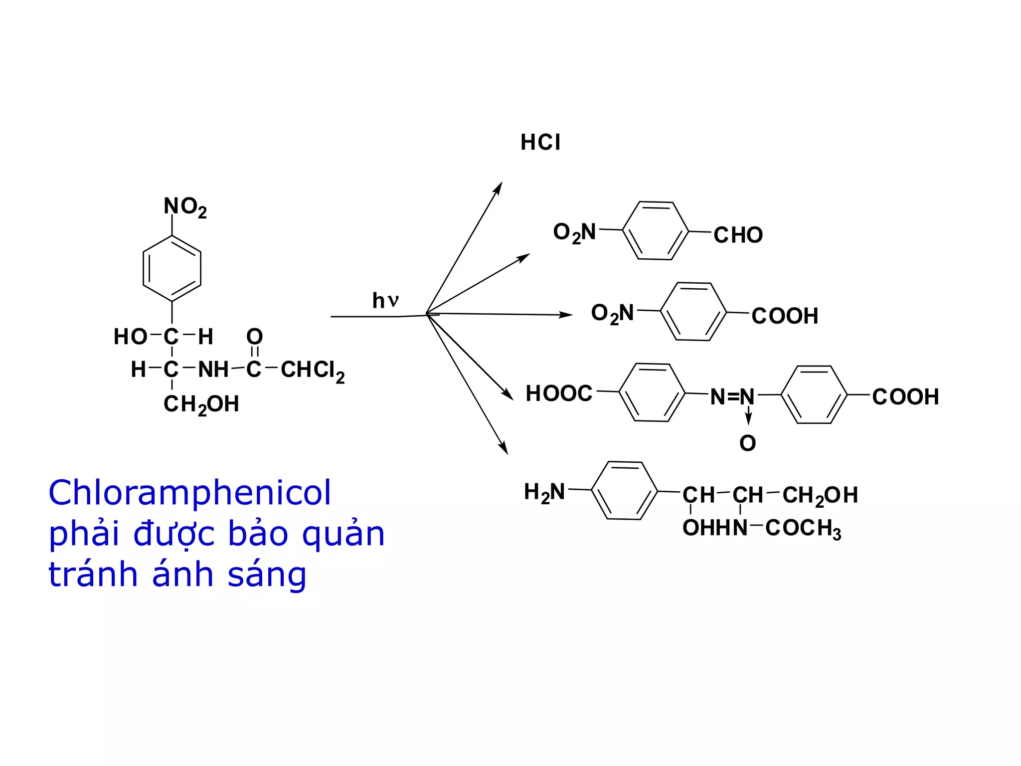 Kháng sinh Phenicol | PDF