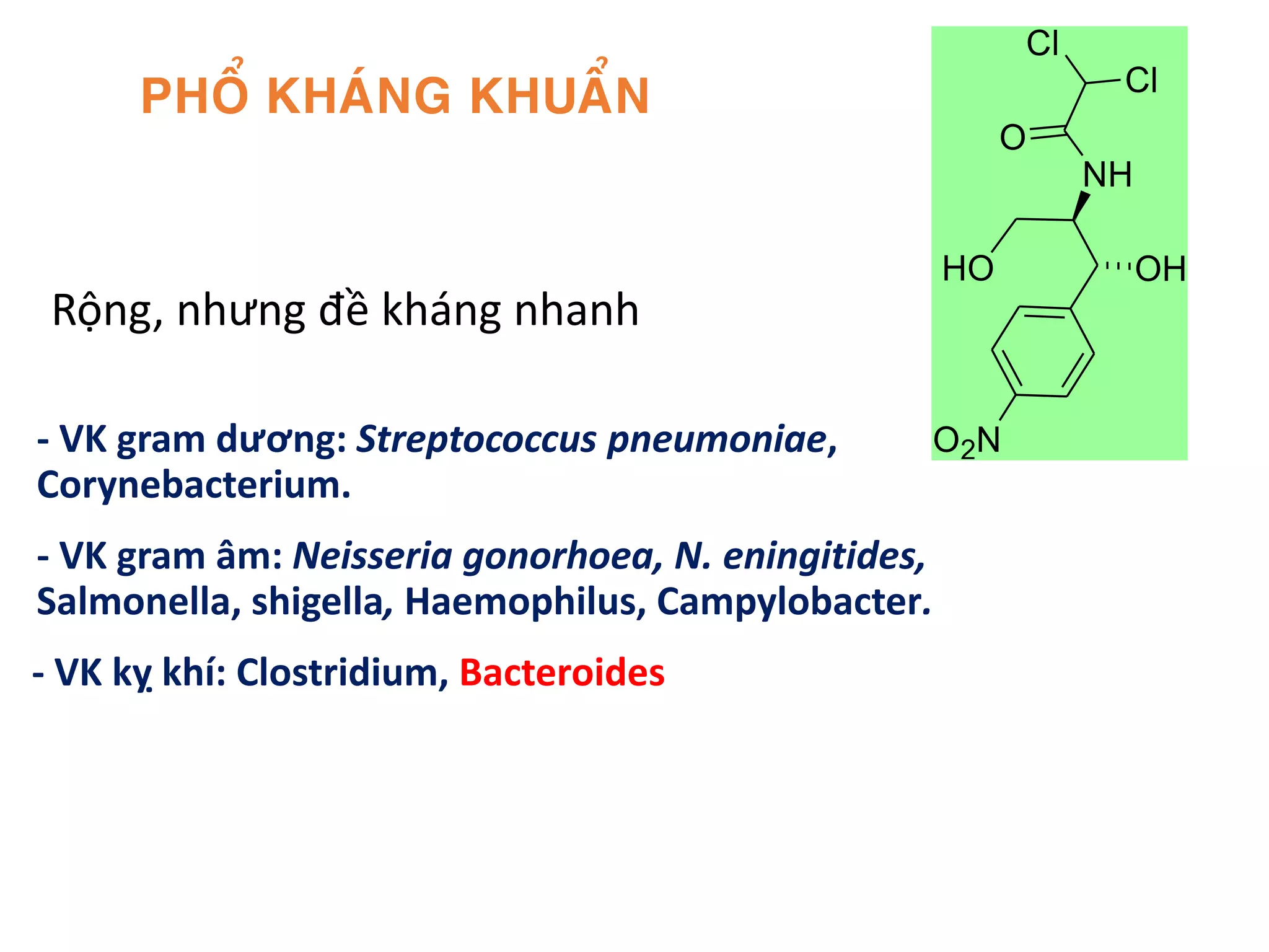Kháng sinh Phenicol | PDF