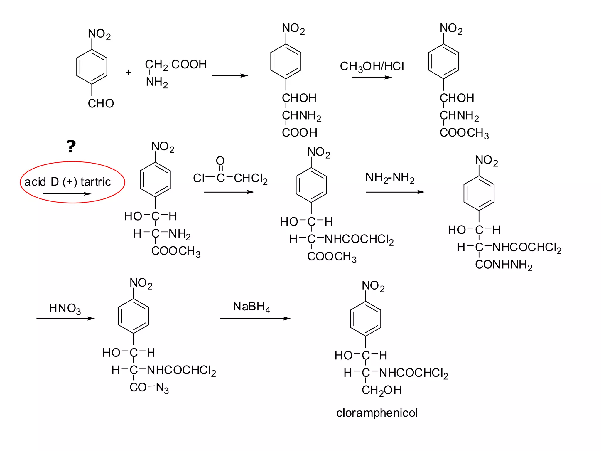 Kháng sinh Phenicol | PDF