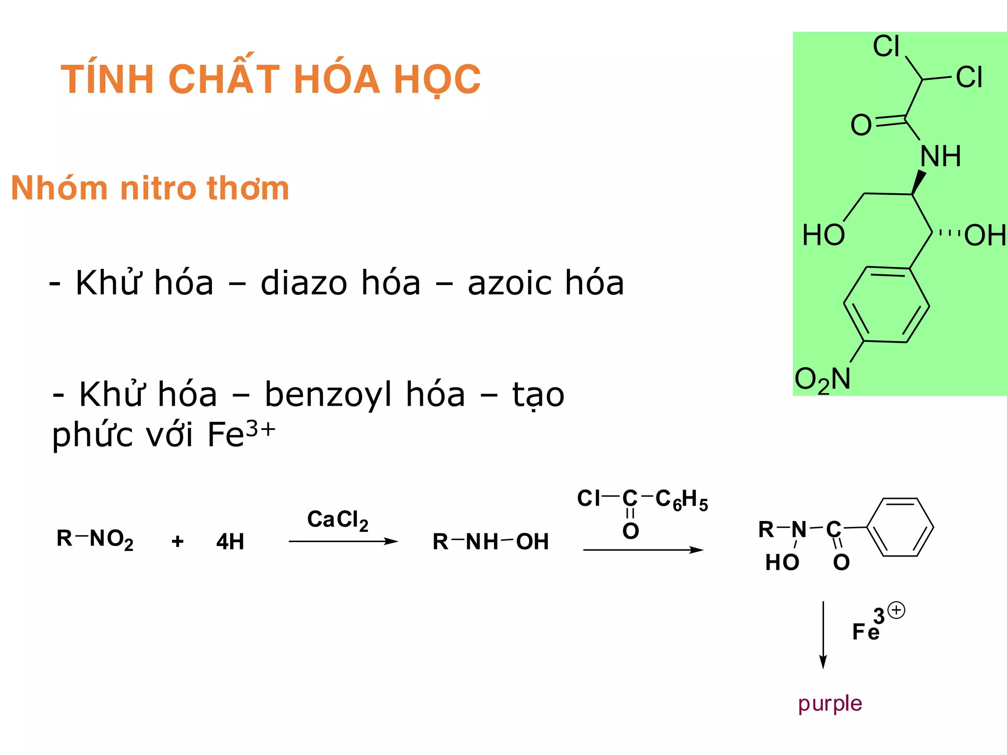 Kháng sinh Phenicol | PDF