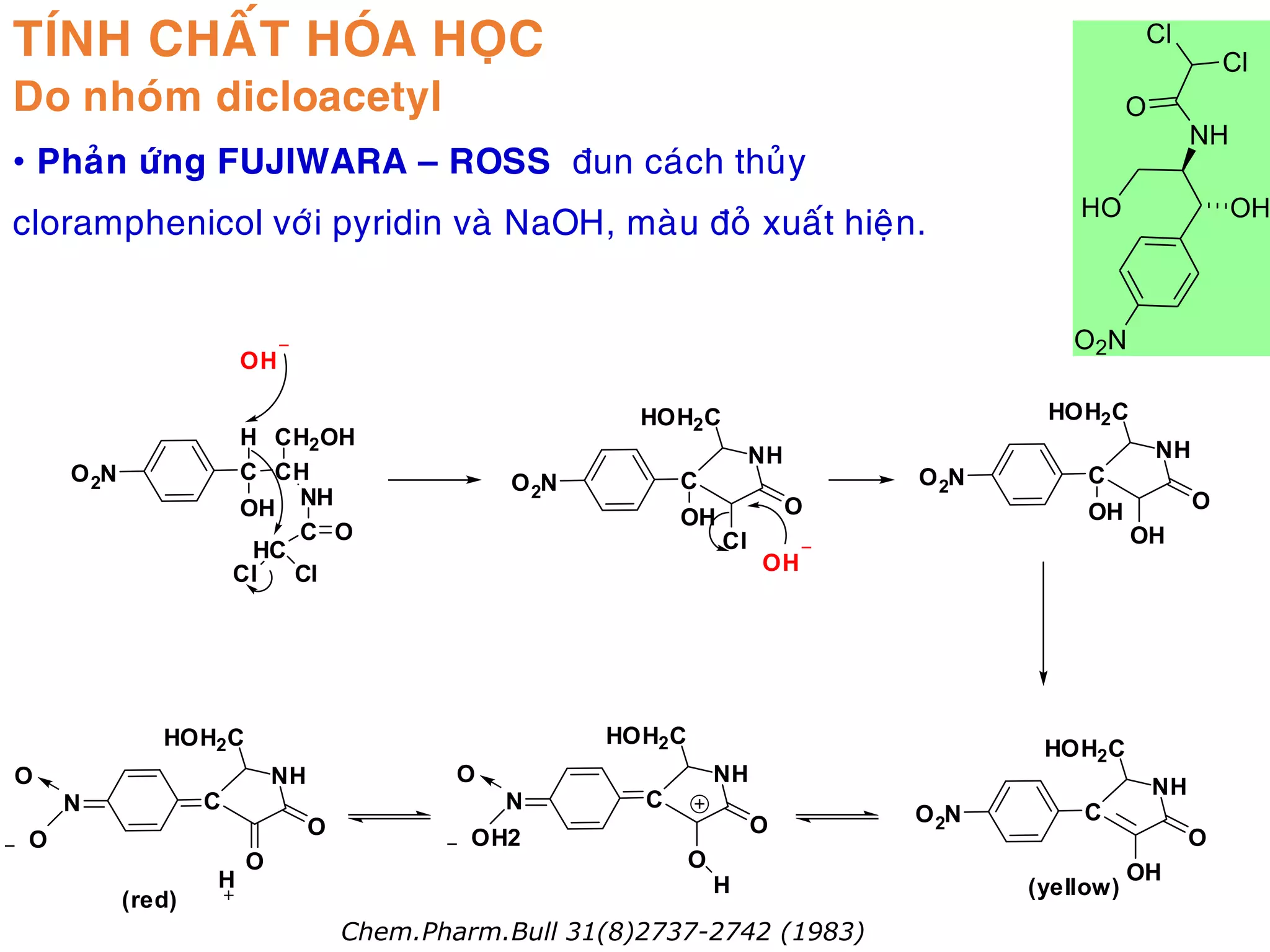 Kháng sinh Phenicol | PDF