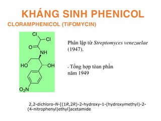 Kháng sinh Phenicol | PDF