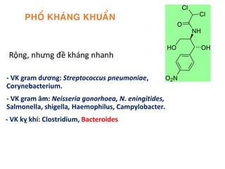 Kháng sinh Phenicol | PDF