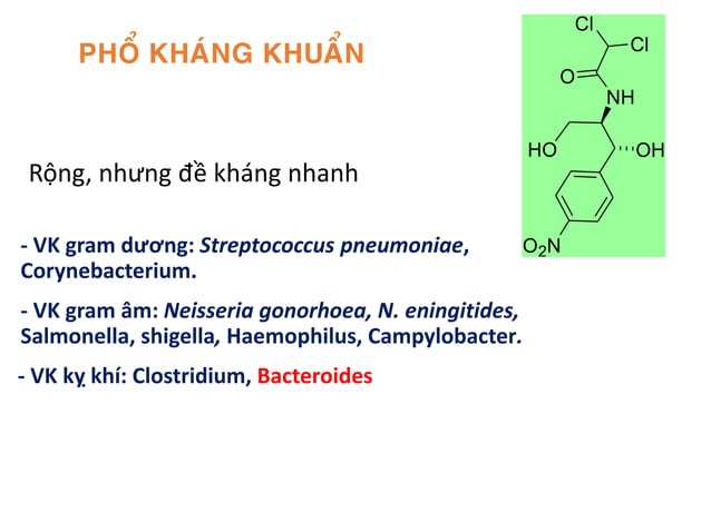 Kháng sinh Phenicol | PDF