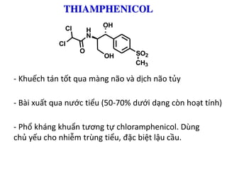 Kháng sinh Phenicol | PDF