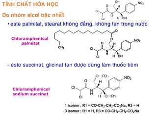Kháng sinh Phenicol | PPT