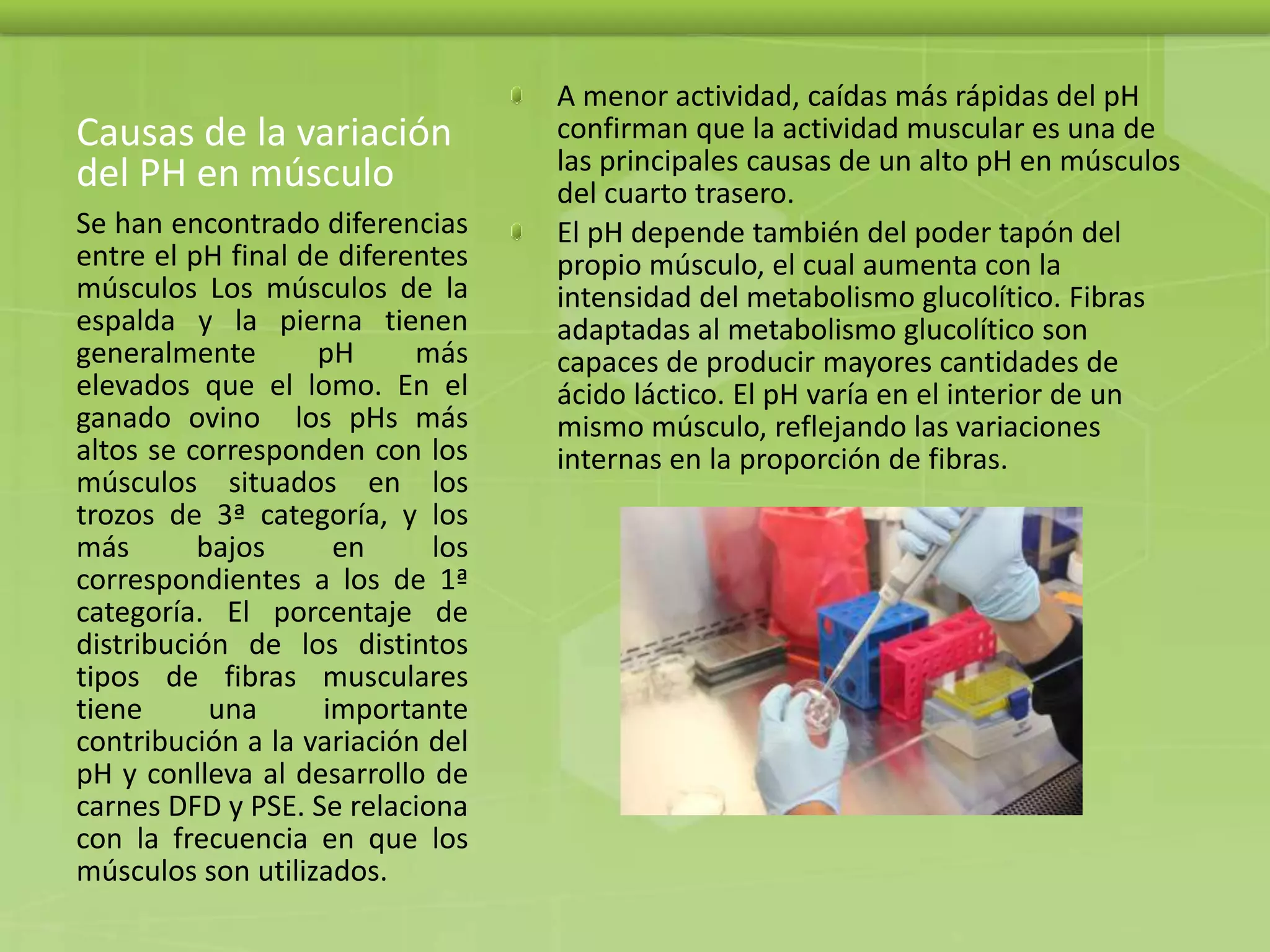 Ph en la carne | PPTX