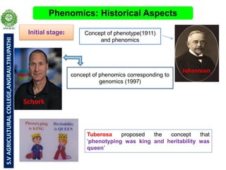 Phenomics in crop improvement | PPTX