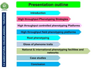 Phenomics in crop improvement | PPTX