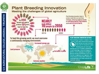 Phenomics in crop improvement | PPTX