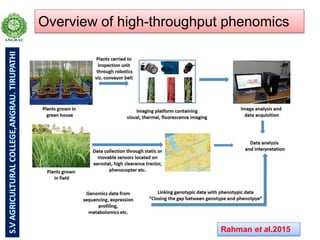 Phenomics in crop improvement | PPT