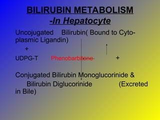 Phenobarbitone and mechanism of action as per IAP | PPT