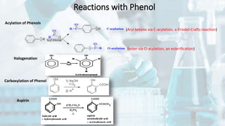 Phenol & Aniline | PPTX | Chemistry | Science