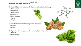 phenolic acid,gallic acid , ellagic acid | PPTX