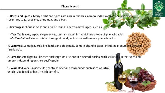 phenolic acid,gallic acid , ellagic acid | PPTX